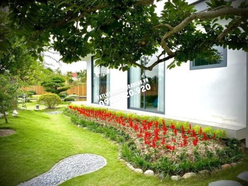 Mãn Nhãn Với Các Công Trình Sân Vườn Đá Tự Nhiên | Phố Đá Đẹp